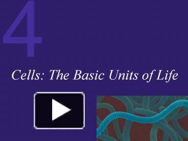 Cells The Basic Units Of Life Presentation Free To Download
