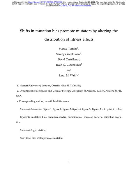 Pdf Shifts In Mutation Bias Promote Mutators By Altering The