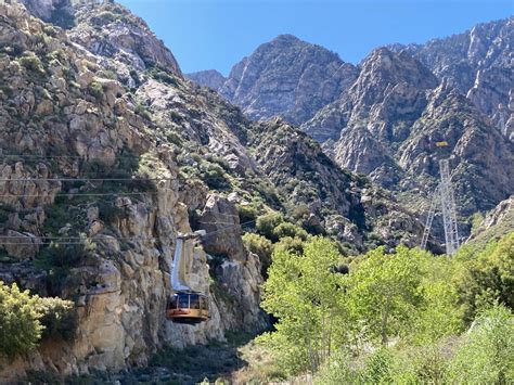 Sauna To Snowball Fight In Minutes Palm Springs Tramway Delivers A