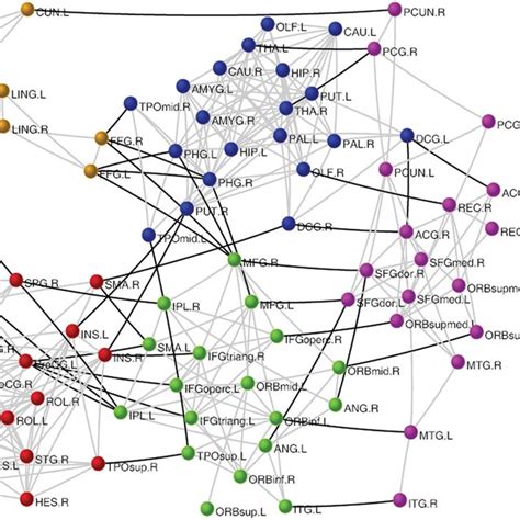 The Modular Architecture Of The Human Brain Functional Network We