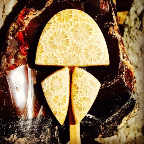 From Our Instagram Special Celebrating The Minnesotastatefair Stone