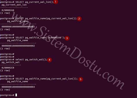 Postgresql Wal Write Ahead Logging Sistem Ve Network Dünyasına