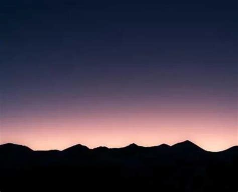 냉동 브로콜리 신선하게 보관하는 법