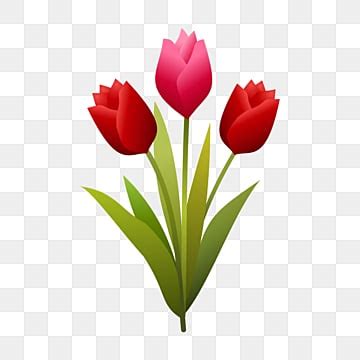 Tulip Flowers Clip Art Images Best Flower Site