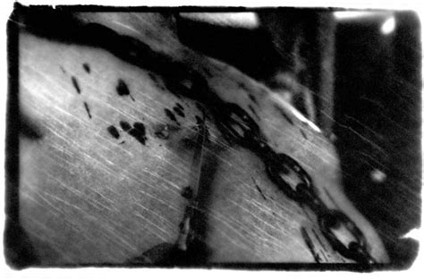 New Start Time For Alien Sex Queer Arts Festival