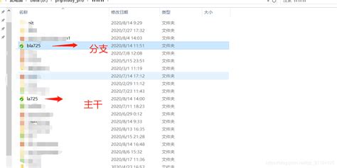 关于git使用trunk，branch tag 主分支管理项目 ，并启用webhook git trunk csdn博客