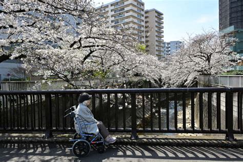 The Most Disability Friendly Countries In The World