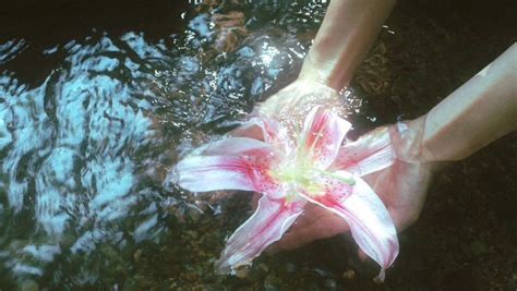 Aria ౨ৎ ݁₊ ⊹ Ariaa Profile Pinterest