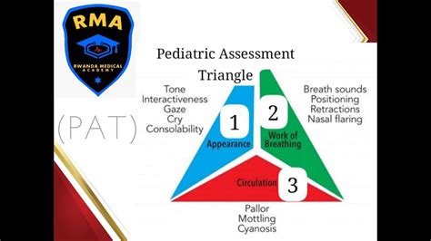 Pediatric Assessment Triangle Explained At Joseph Graves Blog