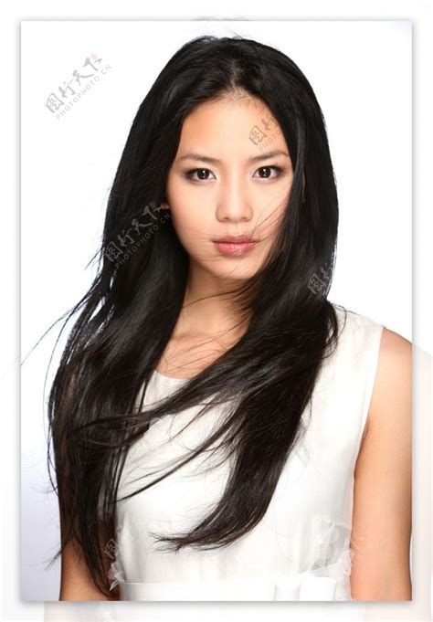 黄英图片素材 编号12619323 图行天下