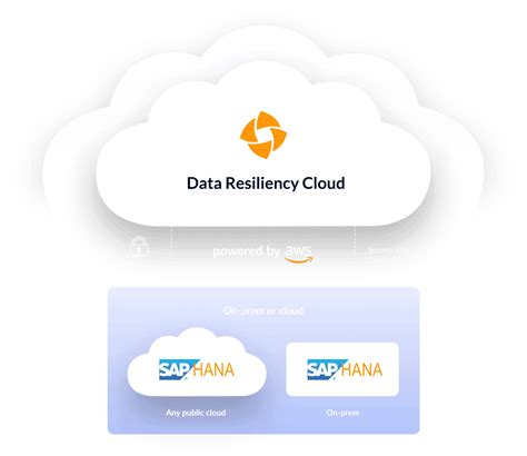 Sap Hana Certified Backup Solutions Data Protection Druva