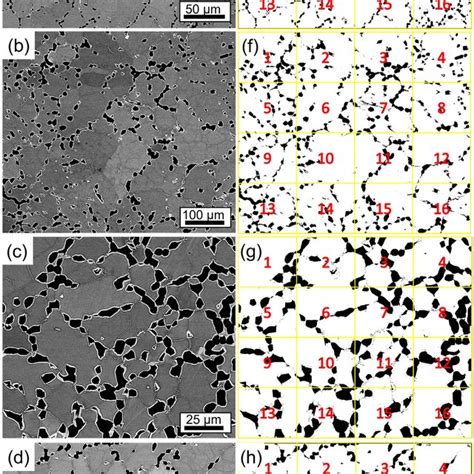 Bse Micrographs Of The An Alloy Taken At A 260x And B 500x C