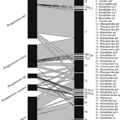 Bipartite Interaction Network Among Insect Gall Inducers To The Left