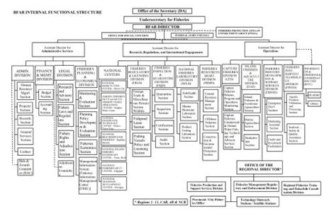 Organizational Structure