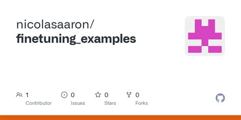 github nicolasaaron finetuning examples
