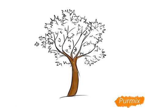 Как Нарисовать Дерево Клен 48 Фото