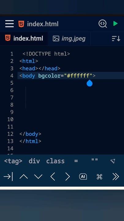 color using hex basichtml webdevelopment coding programming
