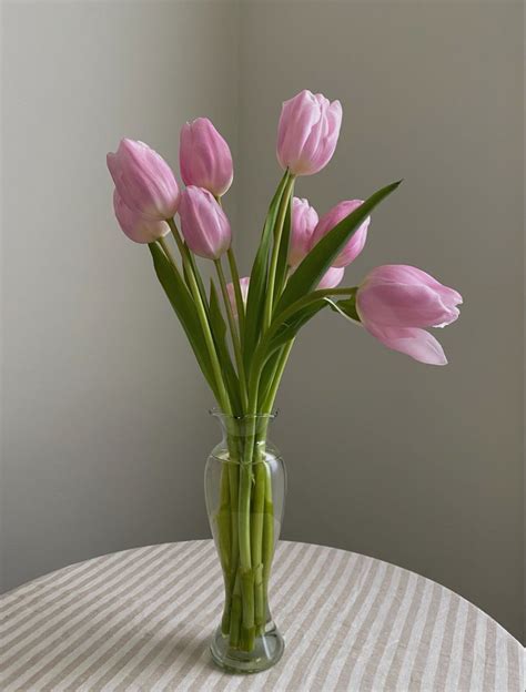 Little Pink Tulips In A Clear Vase