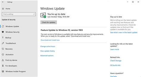 Windows 10 Users Will Get To Choose When They Install The May 2019 Update Betanews