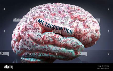 Metacognition In Human Brain Hundreds Of Crucial Terms Related To