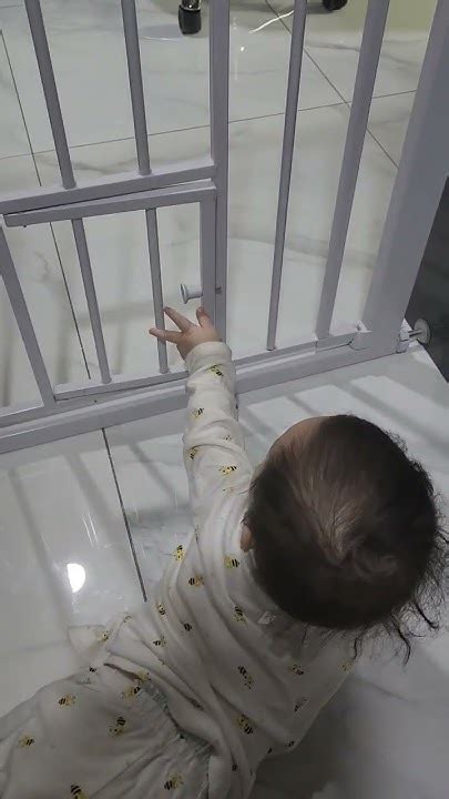 점심 차리는동안 형제가 주방 강아지안전문 구멍으로 들어왔다 ⭐️ Youtube