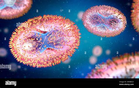 Illustration Of Variola Virus Particles The Cause Of Smallpox Each