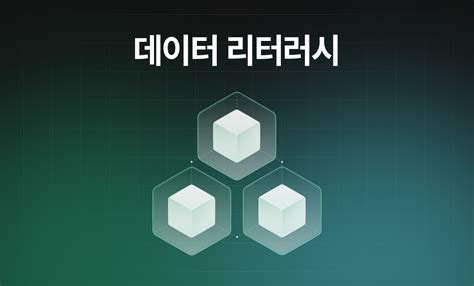 데이터 리터러시 프로그래밍 언어 마스터 클라우드를 넘어 더 높이 성장하다