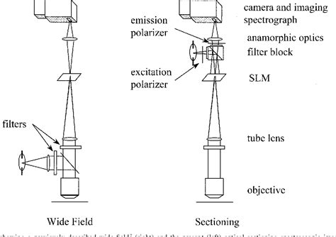 Figure 1 From Highly Multiplexed Optically Sectioned Spectroscopic