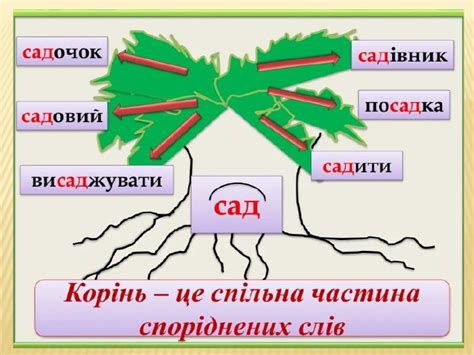 Спільнокореневі слова. Корінь слова.