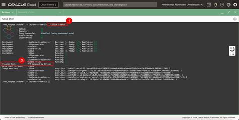 use cilium to provide networking services in oracle cloud