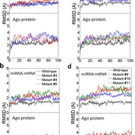 Comparison Of The Structural Variations During The Simulations For The Download Scientific