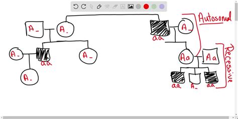 Part B Identify The Mode Of Inheritance Look Over The Pedigree You Constructed In Part A