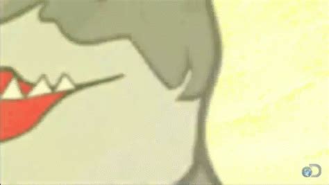 Shark Porn GIF Shark Porn Wtf Discover Share GIFs