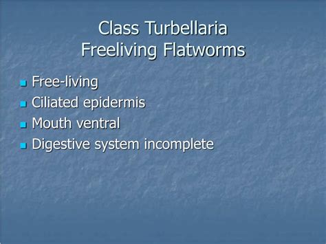 Ppt Phylum Platyhelminthes The Flatworms Powerpoint Presentation Free Download Id526379