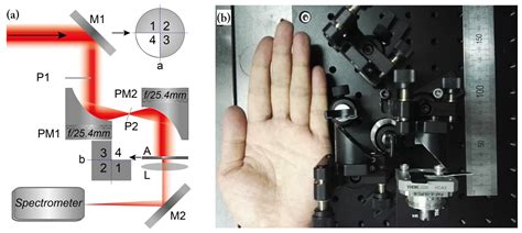 Applied Sciences Free Full Text Self Referenced Spectral Interferometry For Femtosecond