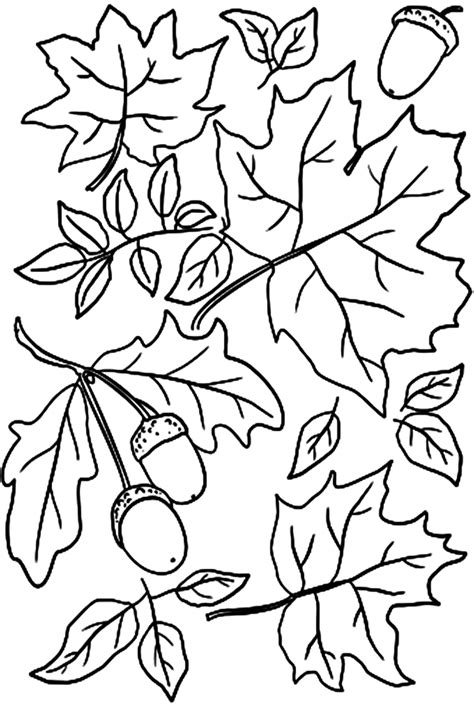 Распечатать раскраски на тему осень