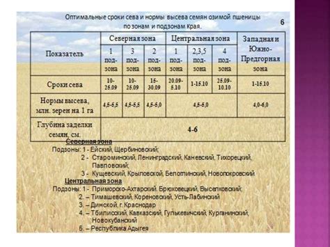 Озимая пшеница осень презентация онлайн