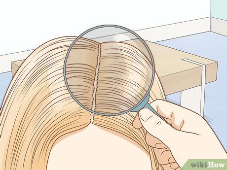 How To Check For And Identify Head Lice Nurse Reviewed Advice