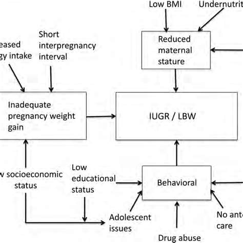 Examples Of Sex Related Fetal Infant Growth Charts From 22 Weeks Ga To