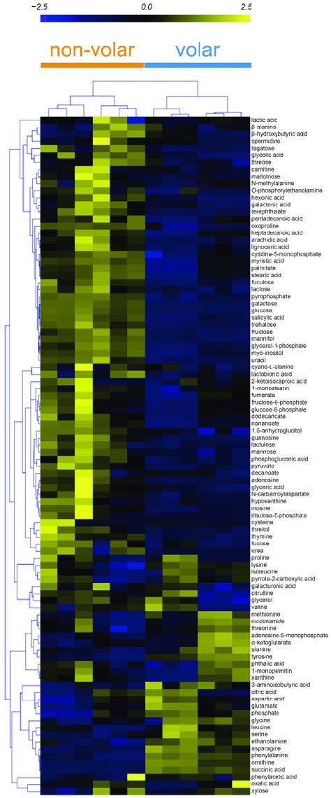 hierarchical clustering analysis hca of 96 metabolites from volar and