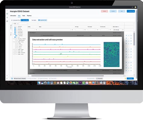 Software Analysis Miniscope Imaging Inscopix Inc