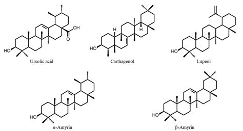 Chemical Structures Of Triterpenes Of The Genus Cuphea Download Scientific Diagram