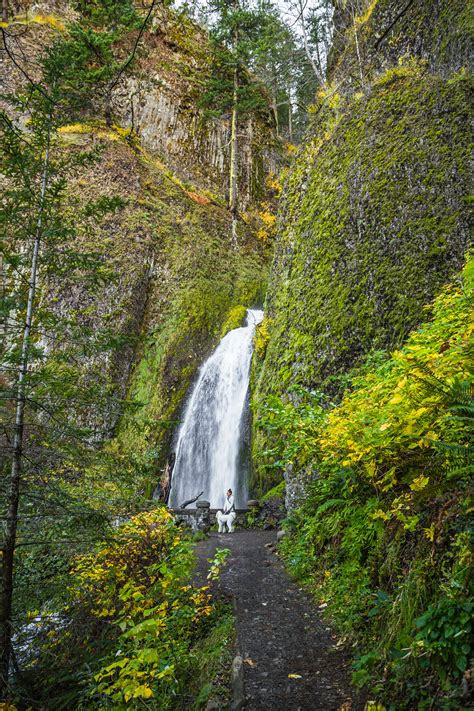 Columbia River Gorge The Land Of Waterfalls Roadesque