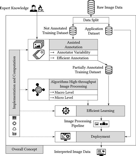 Overall Concept For Information And Data Processing Raw Image Data Is Download Scientific