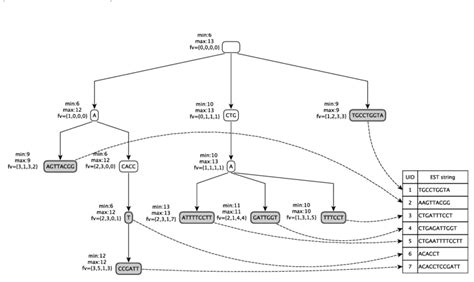 Compressed Prefix Tree Grey Nodes Are String Nodes Minmax Specify