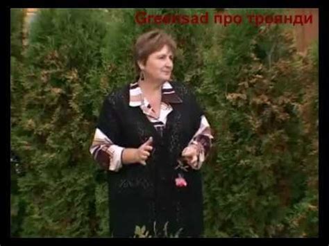 Удобрение роз. При посадке и жизни - YouTube