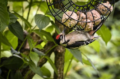 4kbigassanimegirlwallpaper Photos Download The Best Free 4kbig