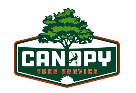 Tree Removal Service Springfield MO Canopy Tree Service