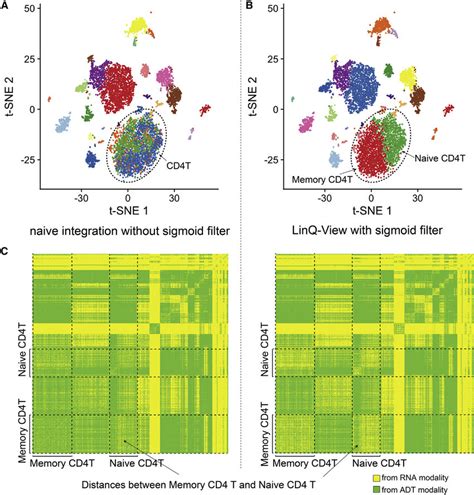 The Sigmoid Filter Prevents Variations In A Single Dominant Adt Feature Download Scientific