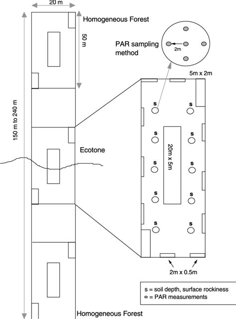 Diagram Of Transect Plot Layout And Methods Download Scientific Diagram
